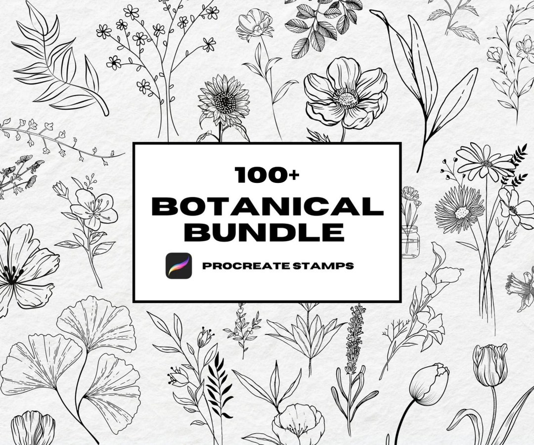 100+ Botanical Procreate Stamps, Procreate Brushes, Flower Tattoo ...