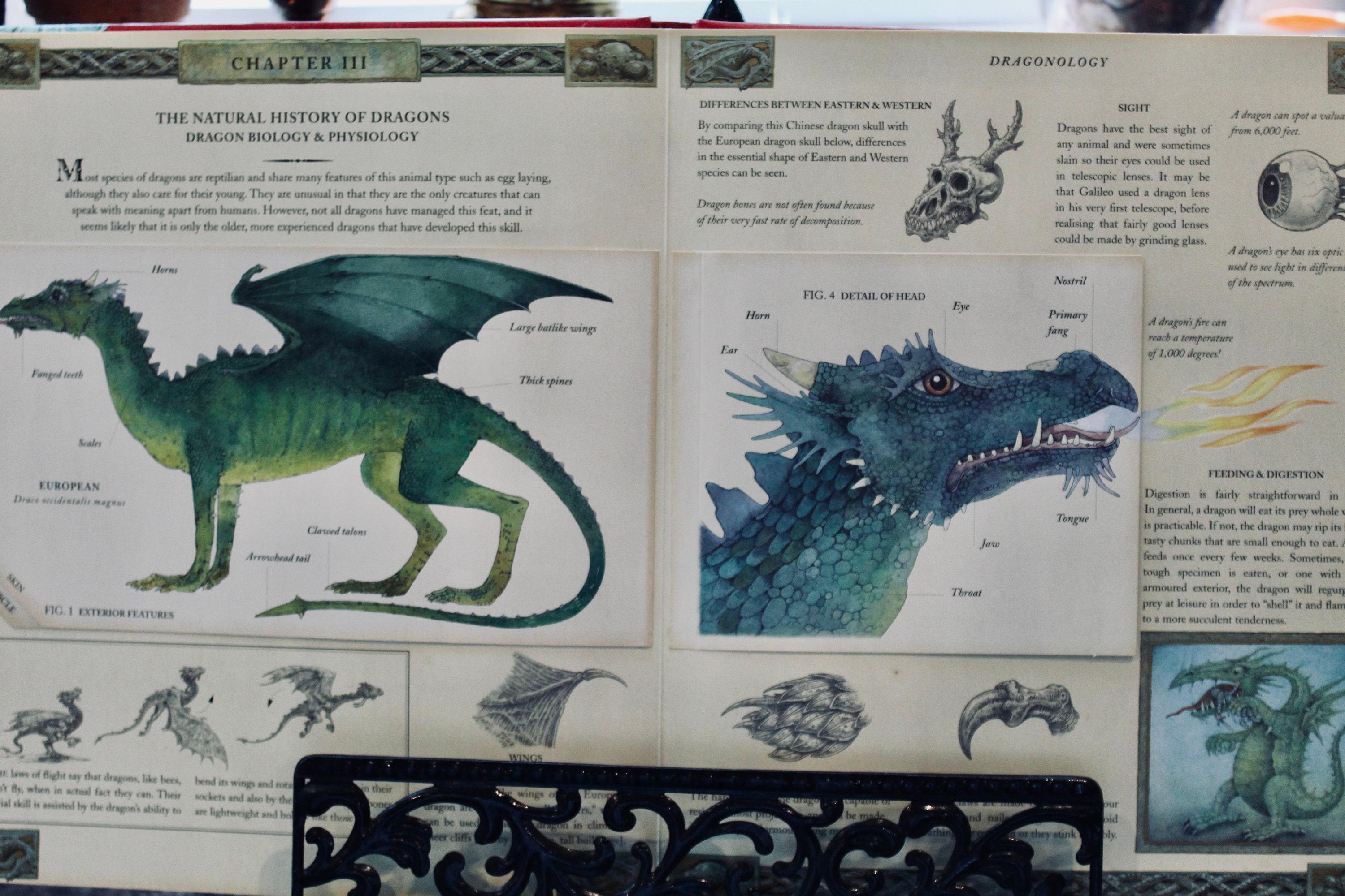 Dragonology the Complete Book of Dragons - Etsy
