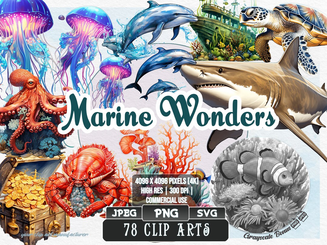 Marine Wonders Ocean Life Clip Art 5 Digital File Types - Etsy