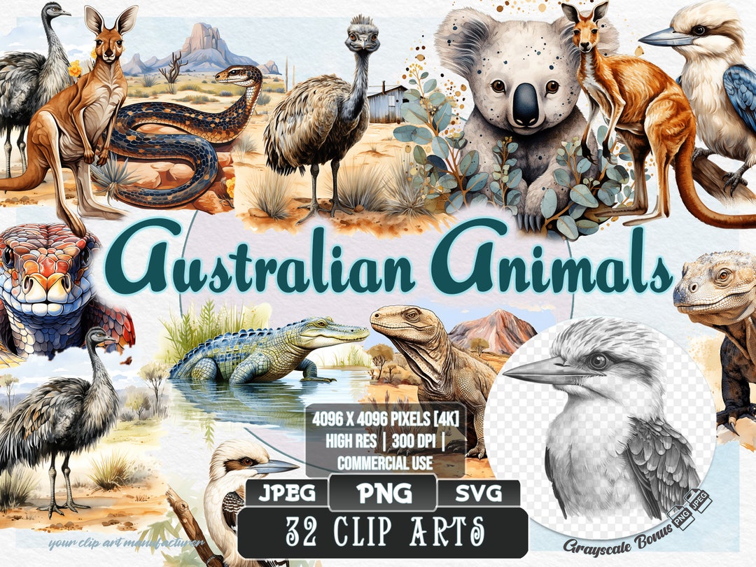 Australian Animals - Clip Art Transparent | 5 Digital File Types ...