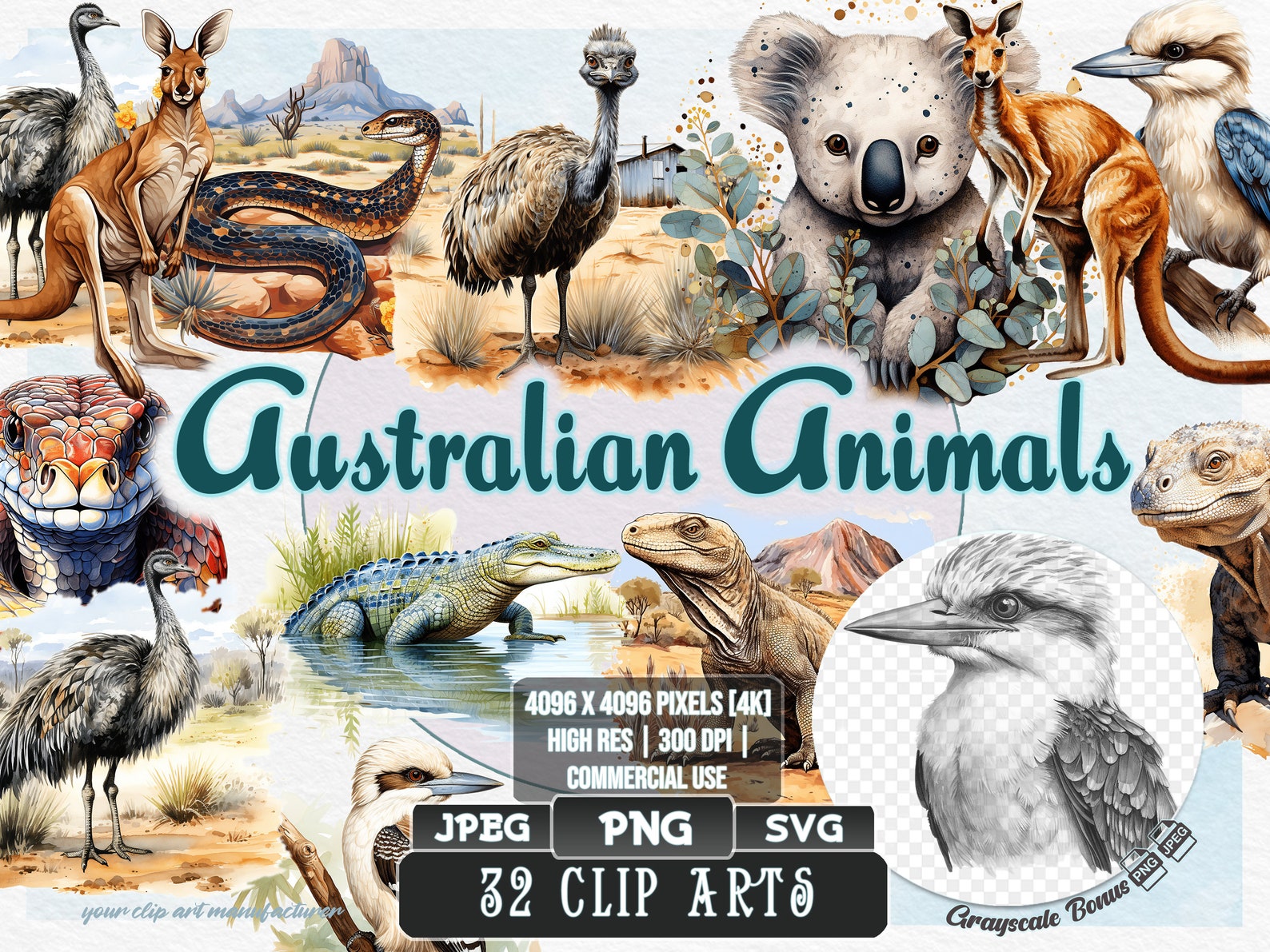 Australian Animals - Clip Art Transparent | 5 Digital File Types ...