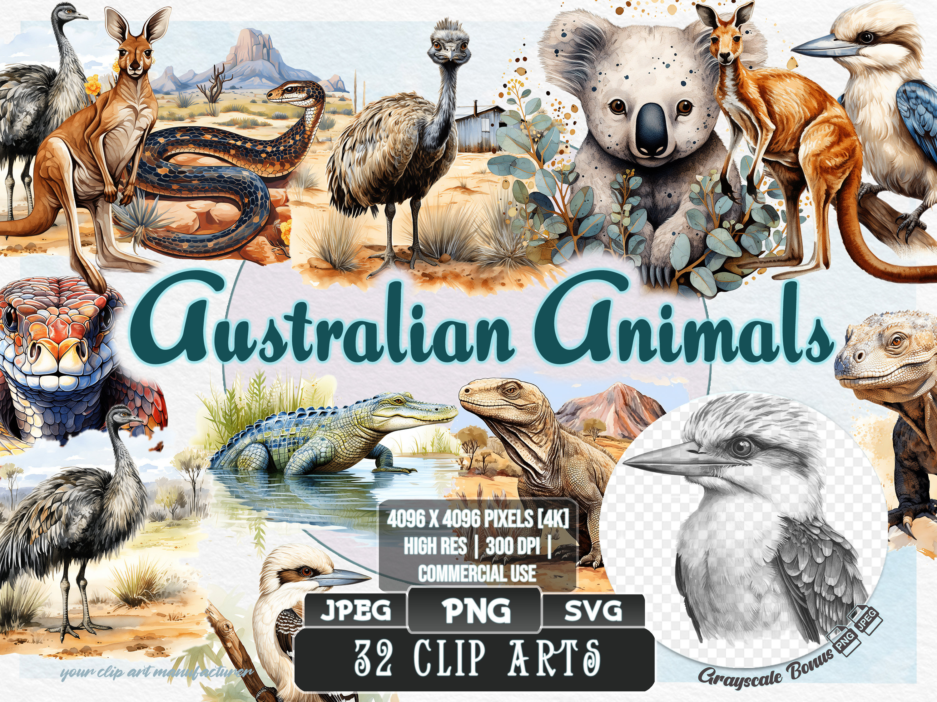 Australian Animals Clip Art Transparent 5 Digital File Types Color ...