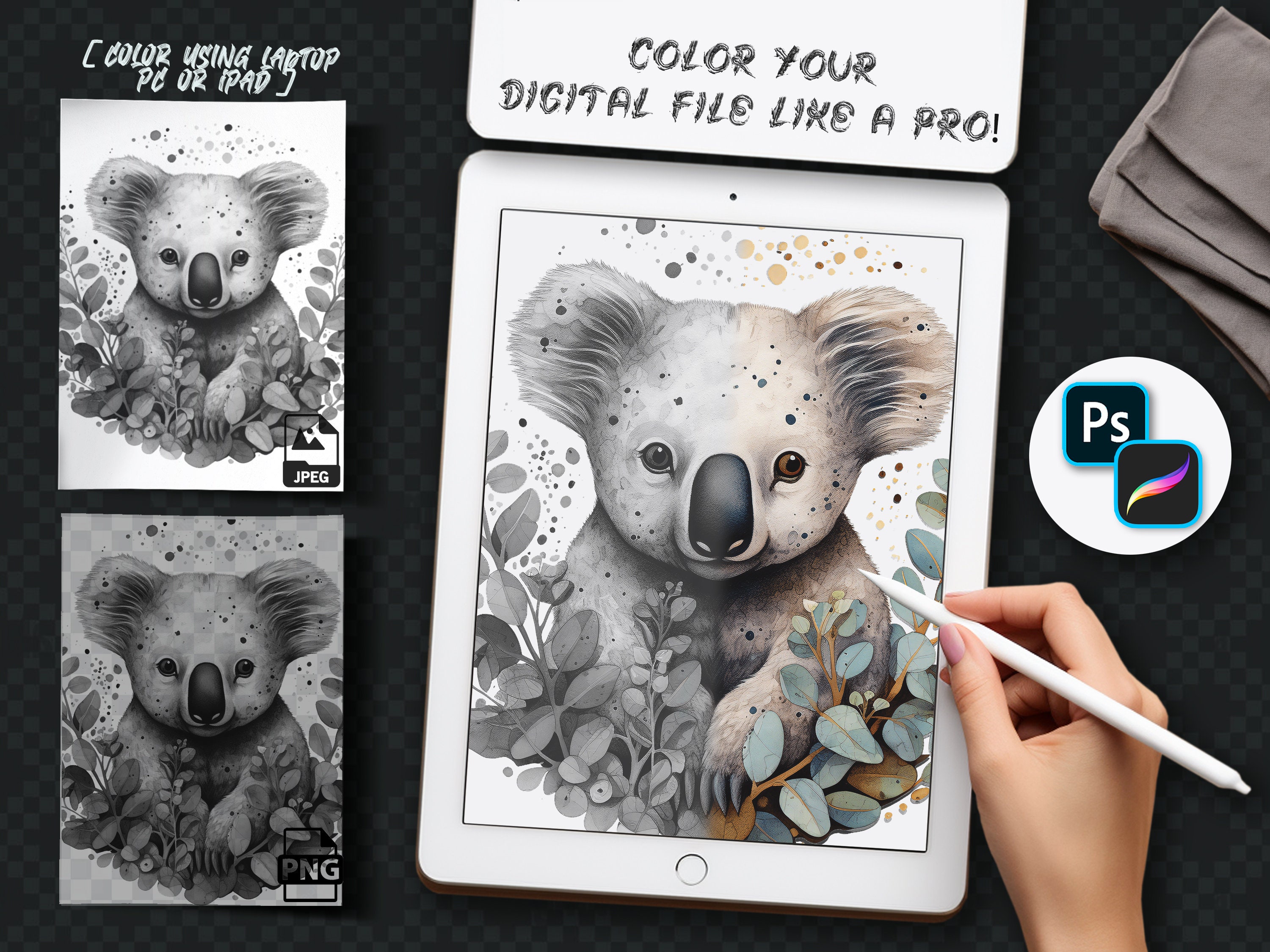 Australian Animals Clip Art Transparent 5 Digital File Types Color ...