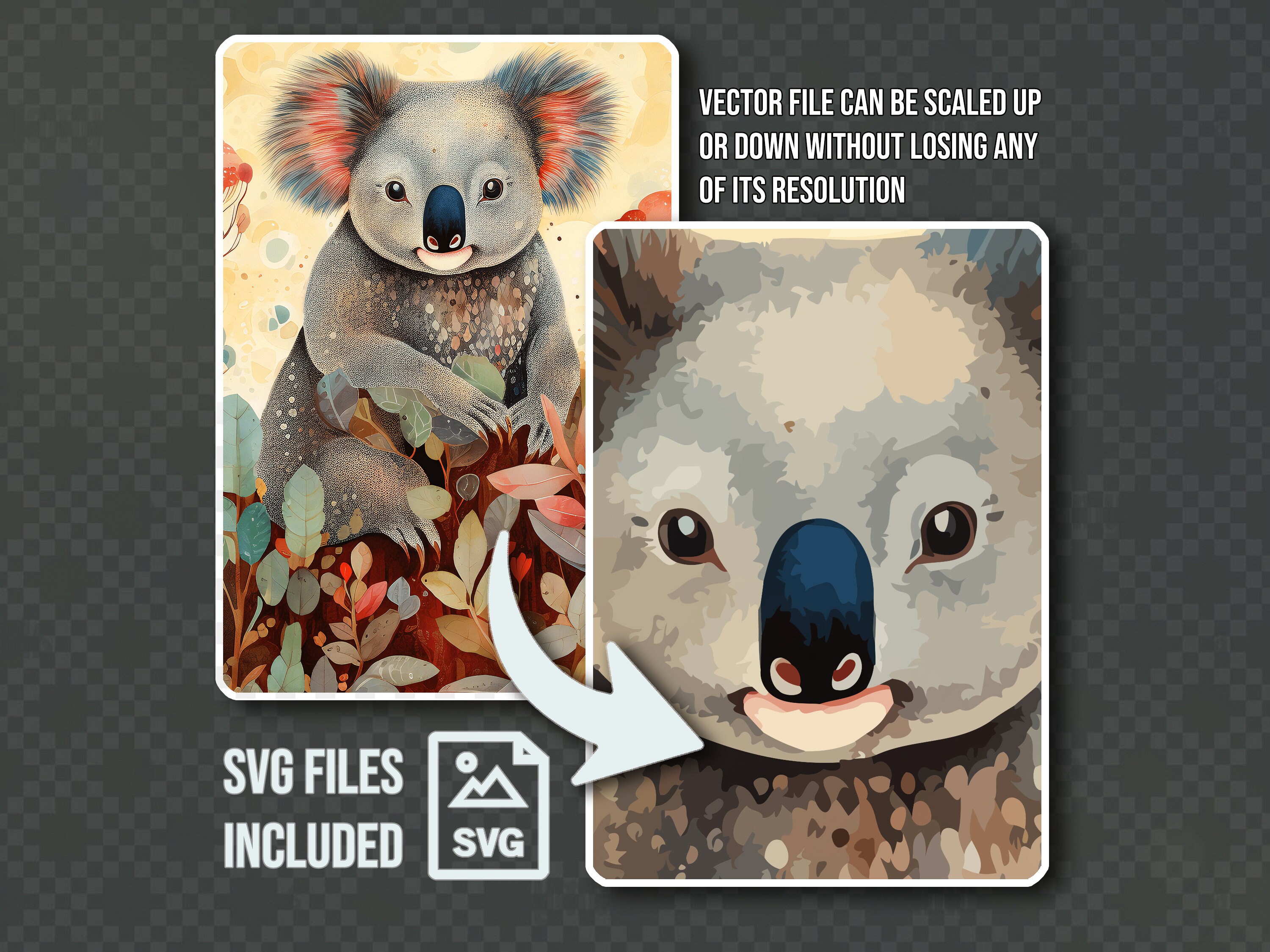 Australian Animals Clip Art Transparent 5 Digital File Types Color ...