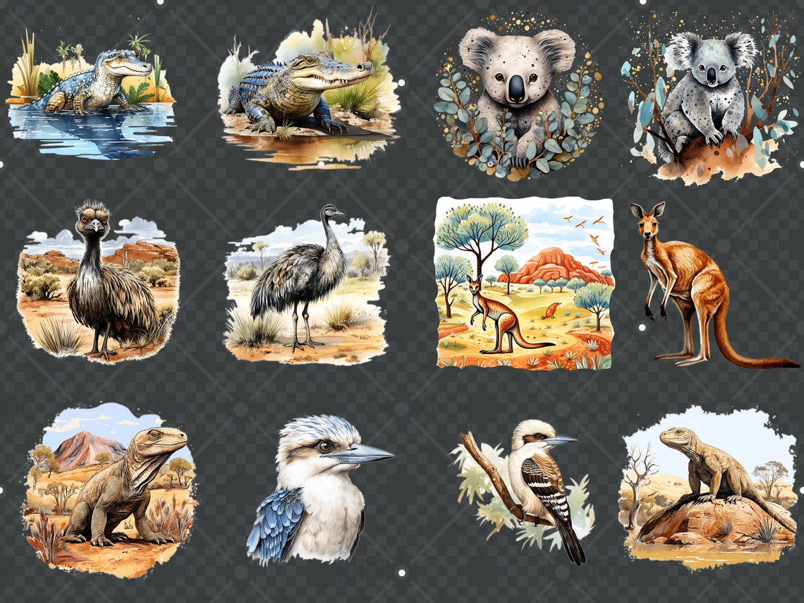 Australian Animals Clip Art Transparent 5 Digital File Types Color ...