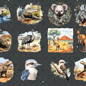 Australian Animals - Clip Art Transparent | 5 Digital File Types ...