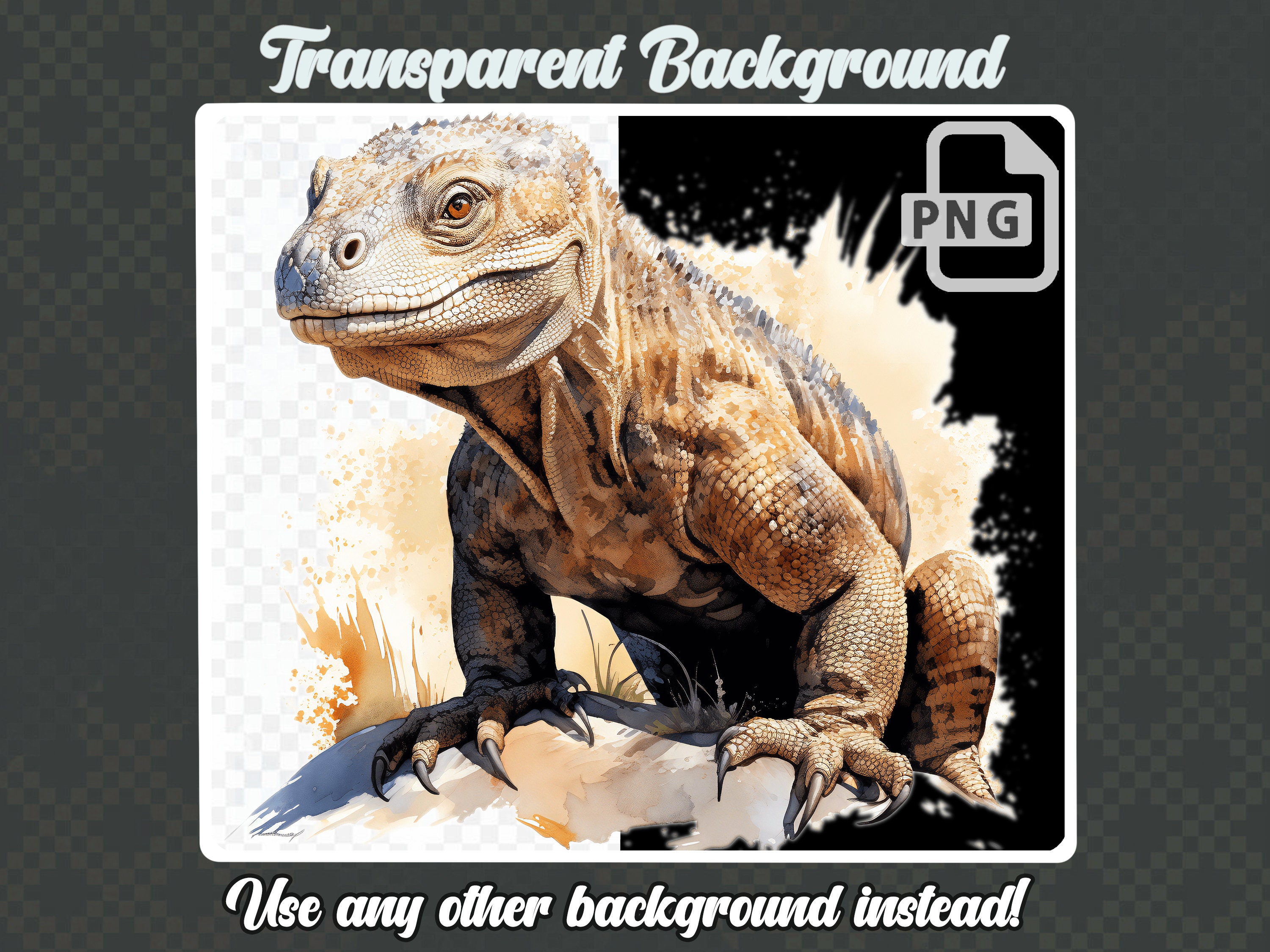 Australian Animals Clip Art Transparent 5 Digital File Types Color ...