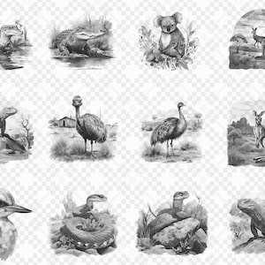 Australian Animals - Clip Art Transparent | 5 Digital File Types ...