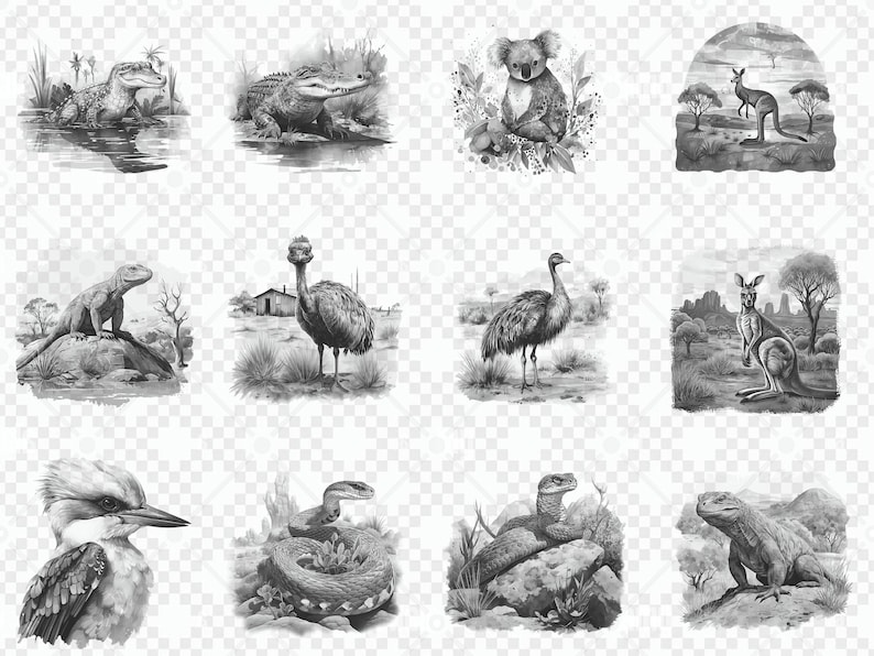 Australian Animals - Clip Art Transparent | 5 Digital File Types ...