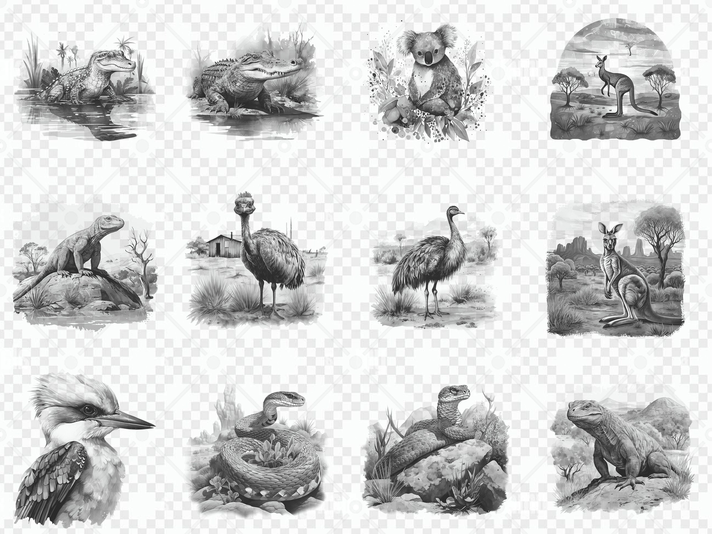 Australian Animals Clip Art Transparent 5 Digital File Types Color ...