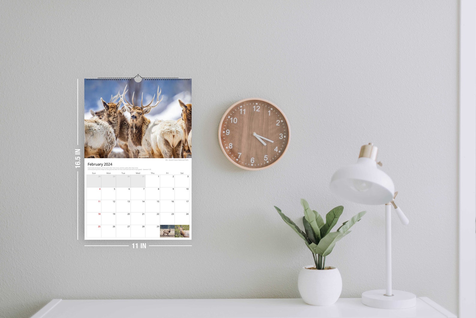 2024 Calendar 8.5 X 11 Christian Massey's Grand Teton Wildlife ...
