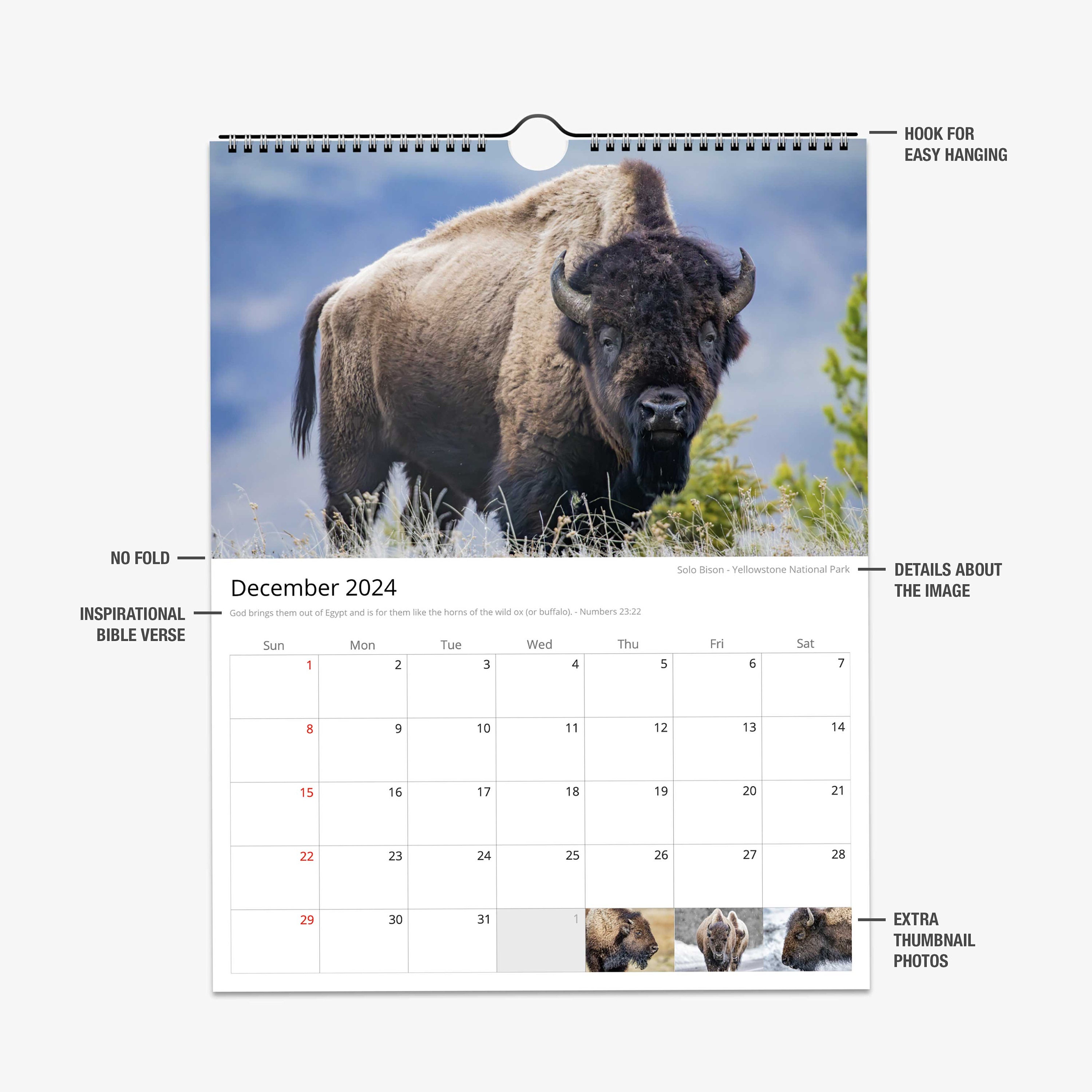 2024 Calendar 8.5 X 11 Christian Massey's Grand Teton Wildlife ...