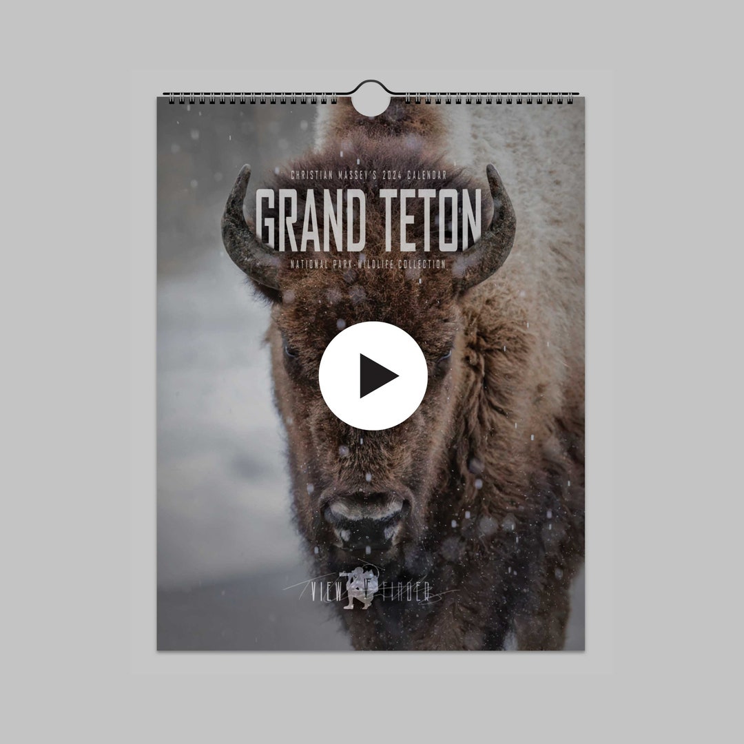 2024 Calendar 8.5 X 11 Christian Massey's Grand Teton Wildlife ...