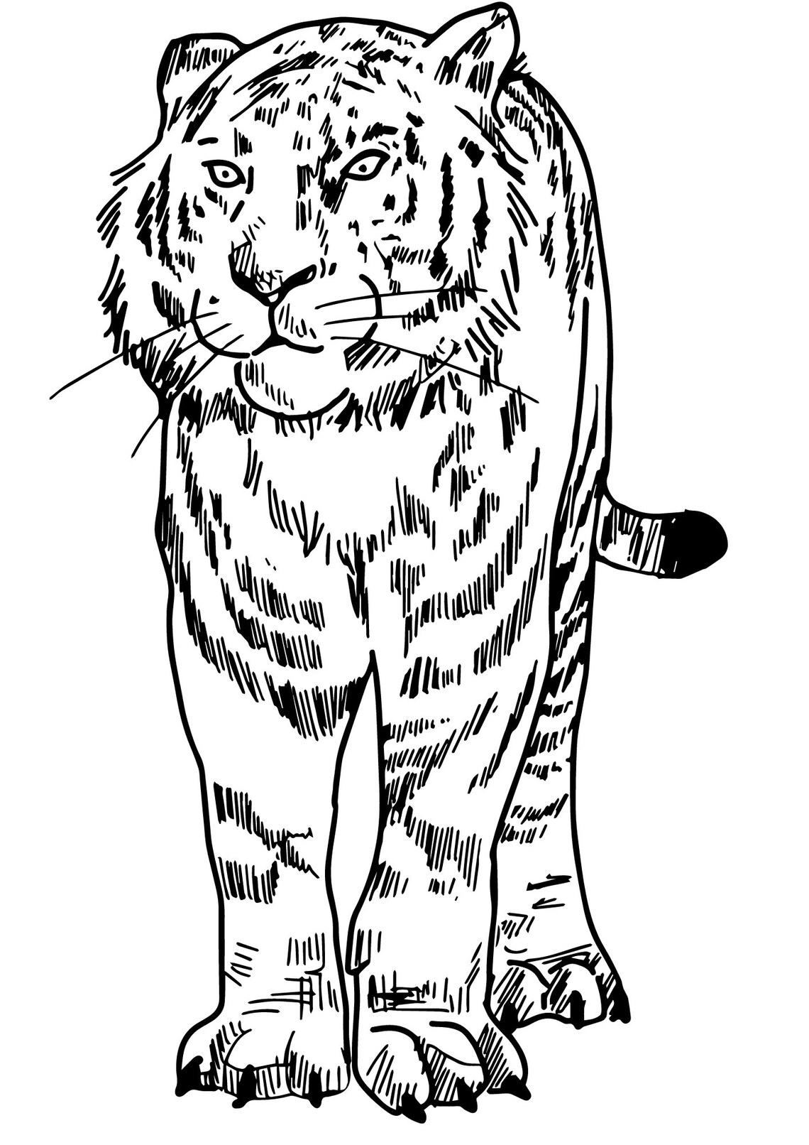 Wild Animals Printable Coloring Sheet Coloring Pages Kids Coloring ...