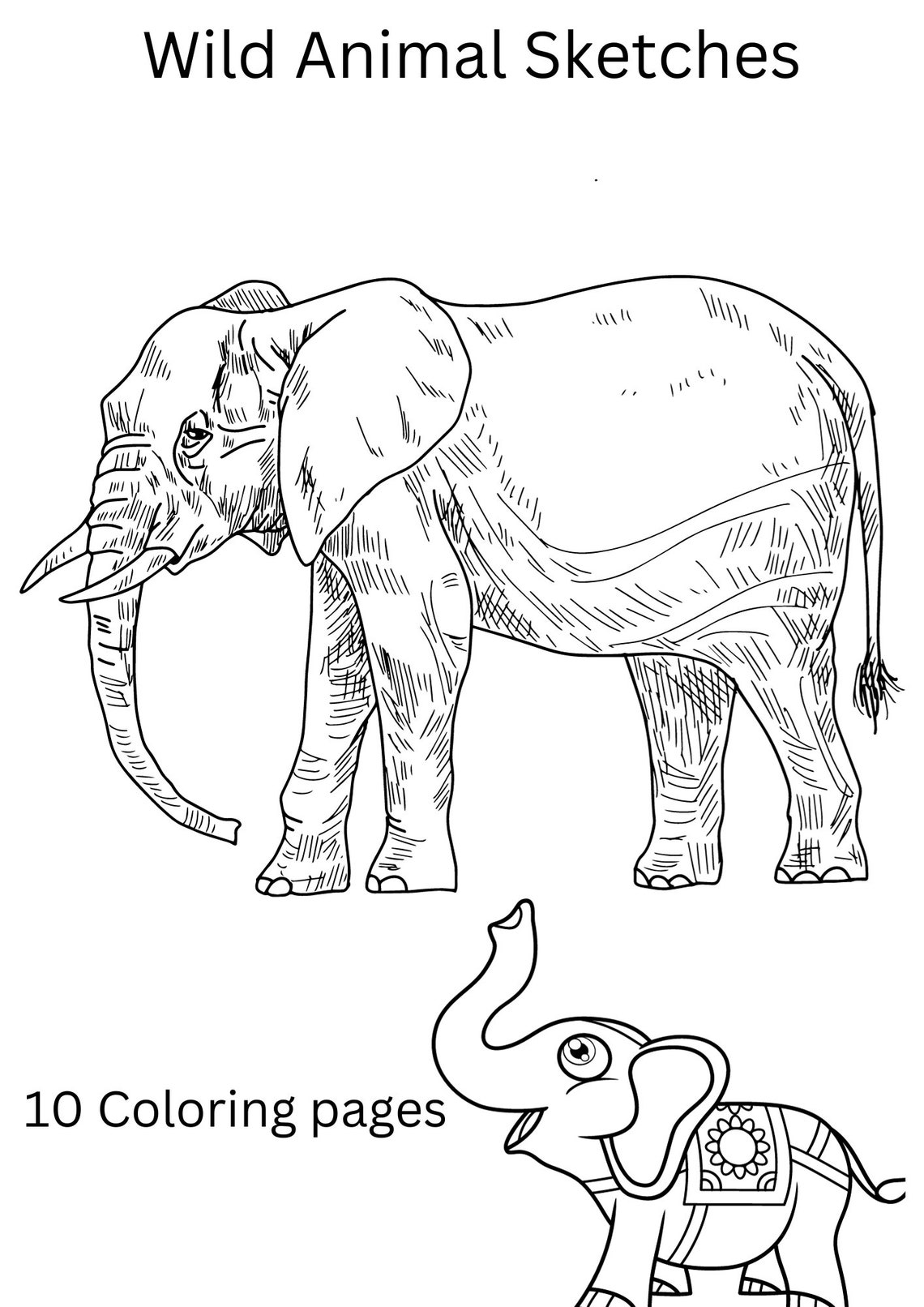 Wild Animals Printable Coloring Sheet | Coloring Pages | Kids Coloring ...