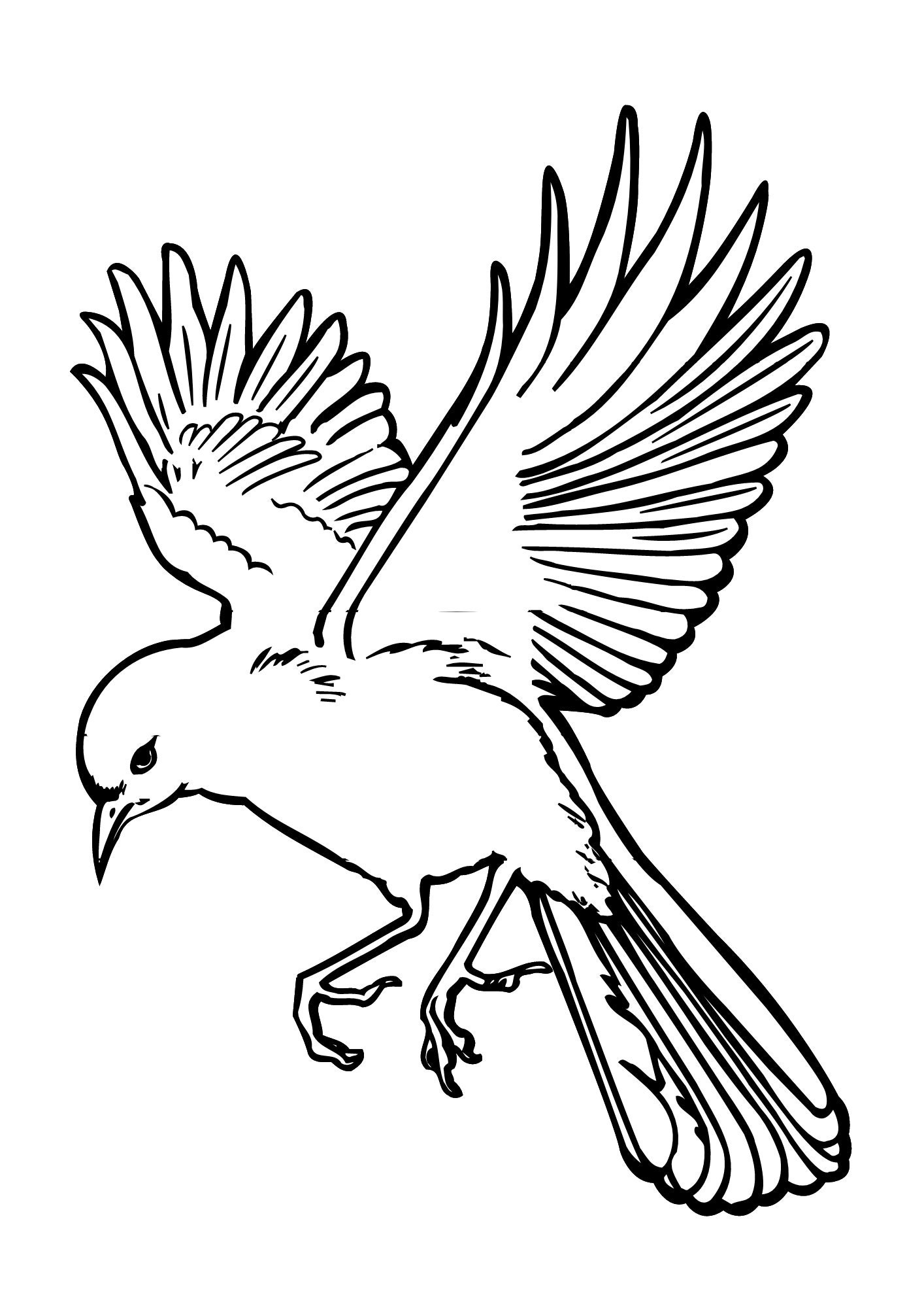 Birds Printable Coloring Sheet Coloring Pages Kids Coloring Pages Birds ...