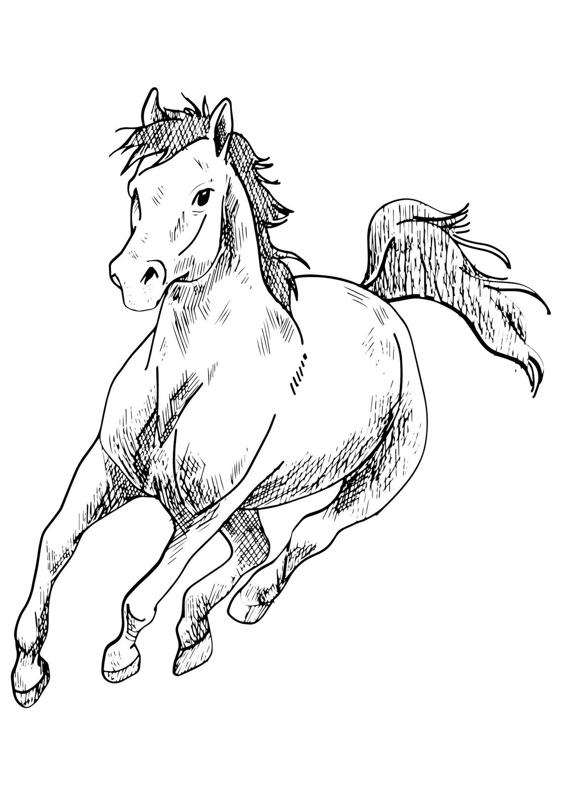 Domestic Animals Printable Coloring Sheet | Coloring Pages | Kids ...