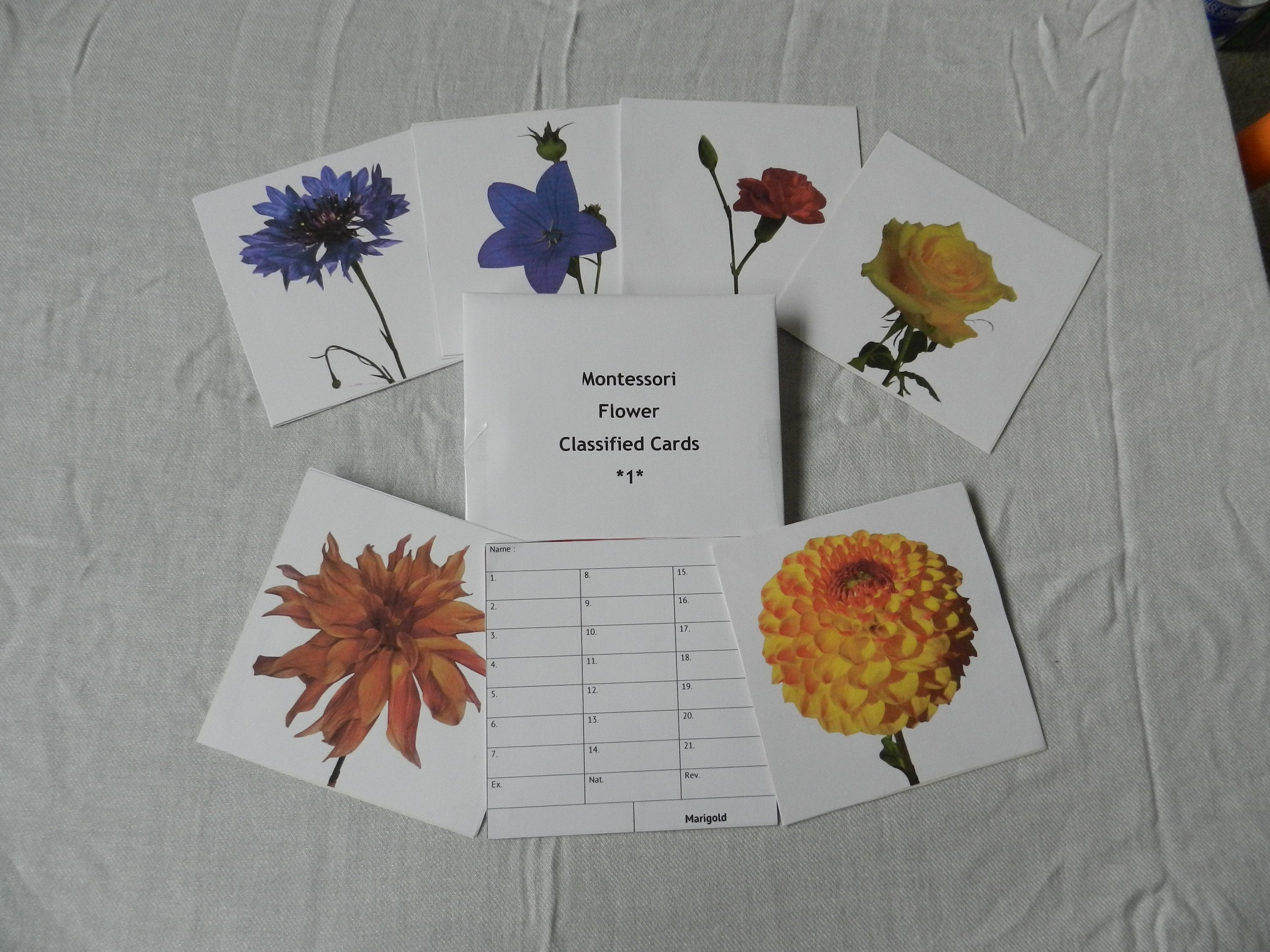 Montessori Flowers Classified Cards - Etsy