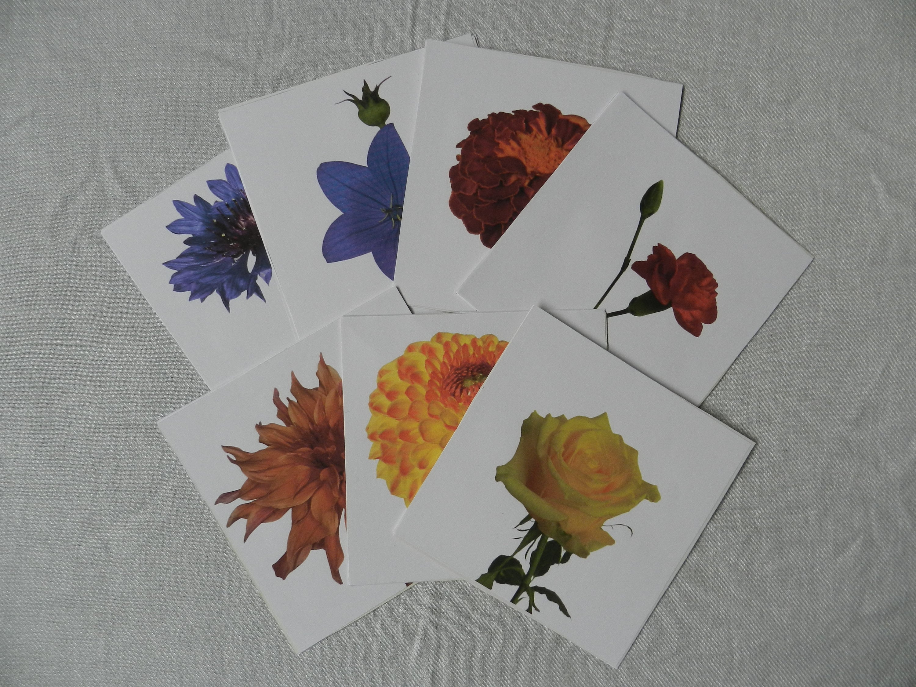Montessori Flowers Classified Cards - Etsy