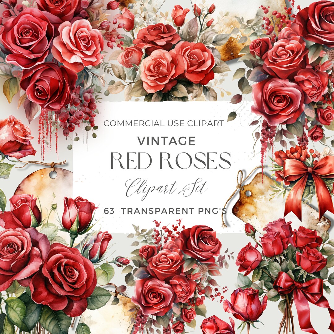 Valentine Vintage Red Roses Clipart, Commercial License, Watercolor Red ...