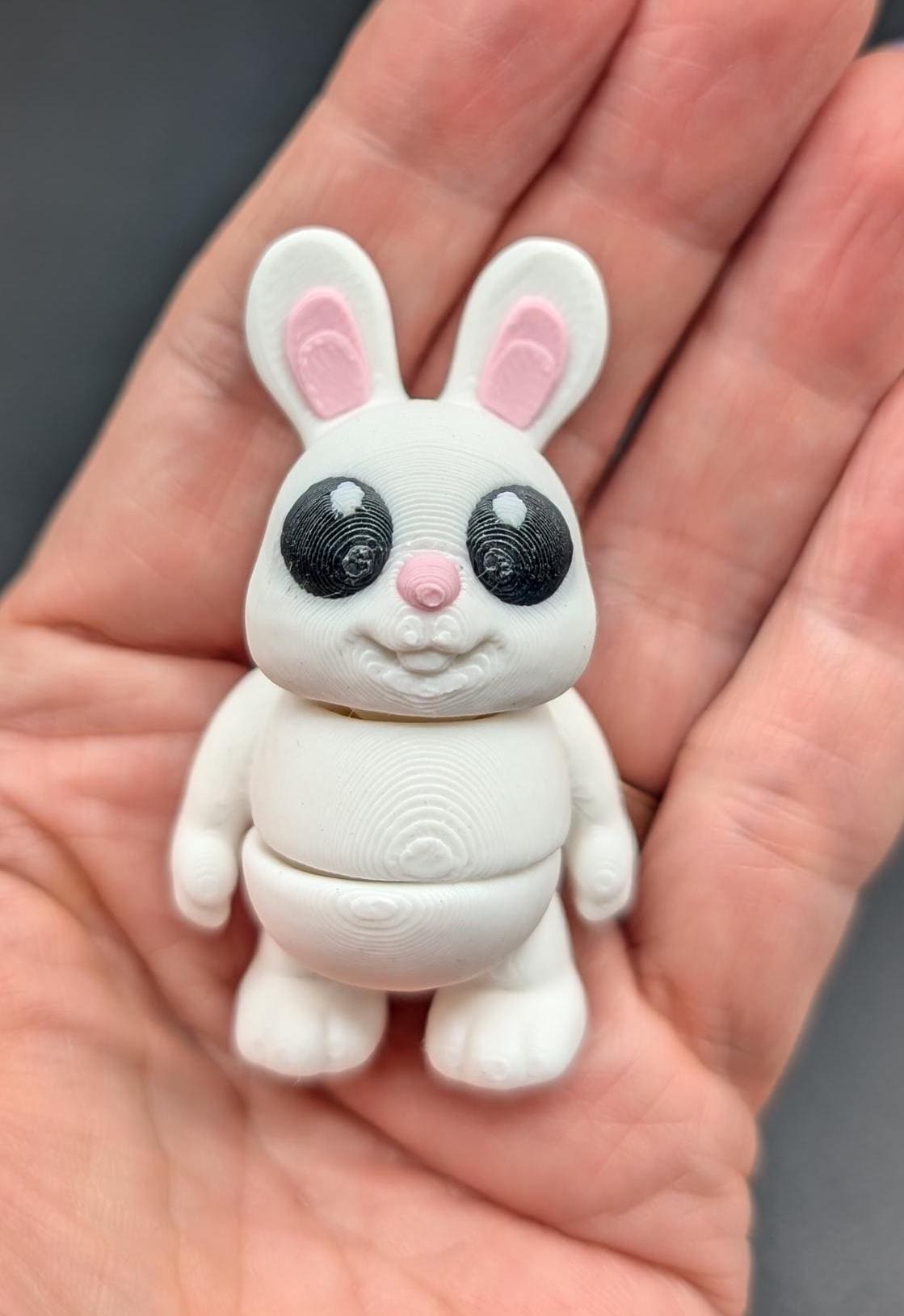 3D Printed Easter Tiny Bunny Fidget Toy - Etsy