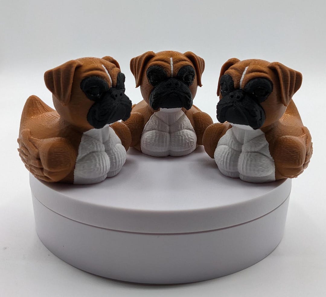 The Magnificent Boxer Duck - Etsy