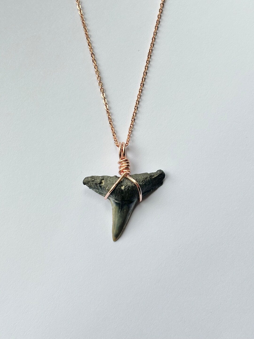 Real Fossilized Lemon Shark Tooth 18in Necklace Rose Gold Brass Plated ...