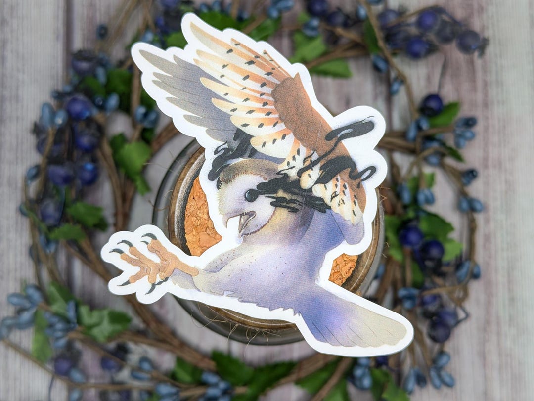 Pouncing Owl Sticker, Vinyl Sticker for Laptop or Water Bottle - Etsy