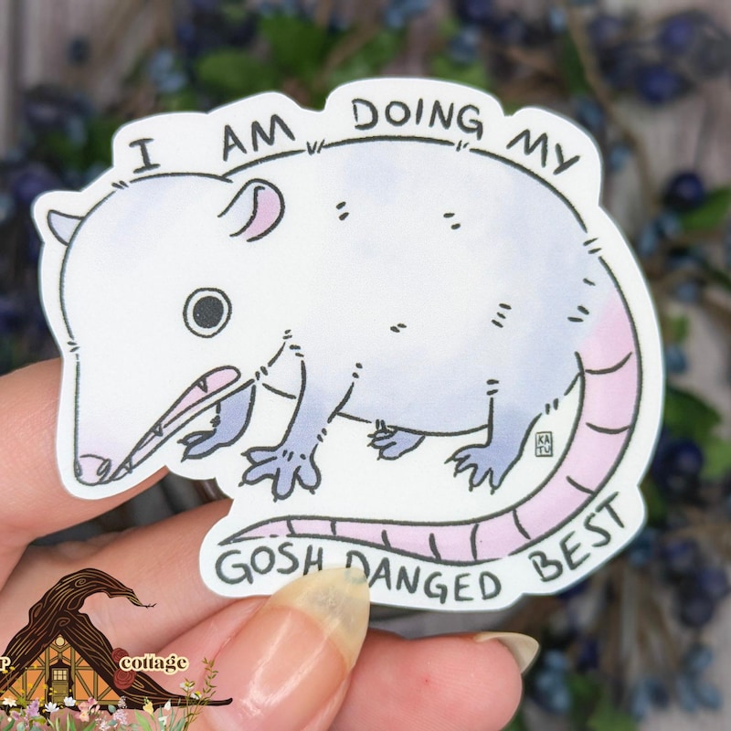 Stickers Pack Opossum - Etsy