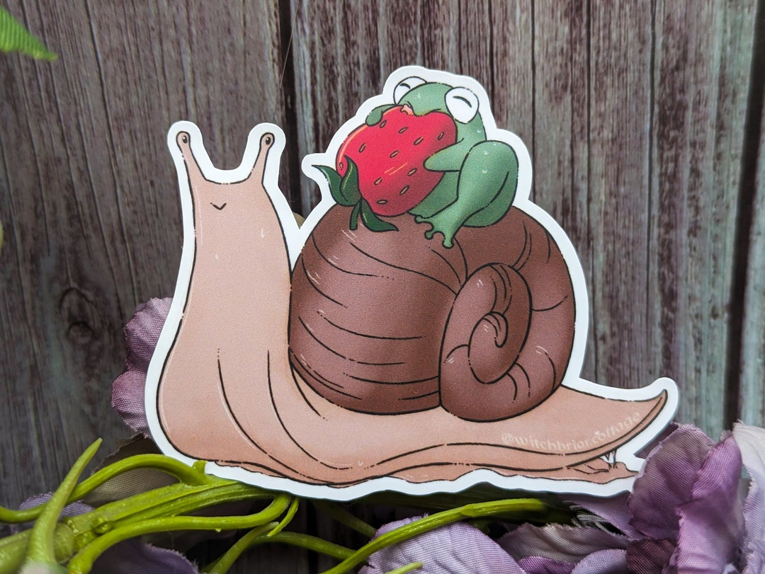 Cute Frog Riding Snail Vinyl Sticker for Laptop or Water Bottle - Etsy