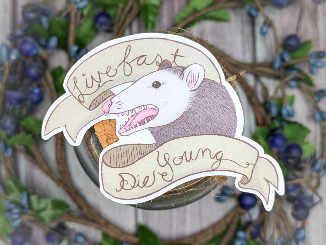 Live Fast, Die Young Opossum Sticker for Laptop or Water Bottle - Etsy