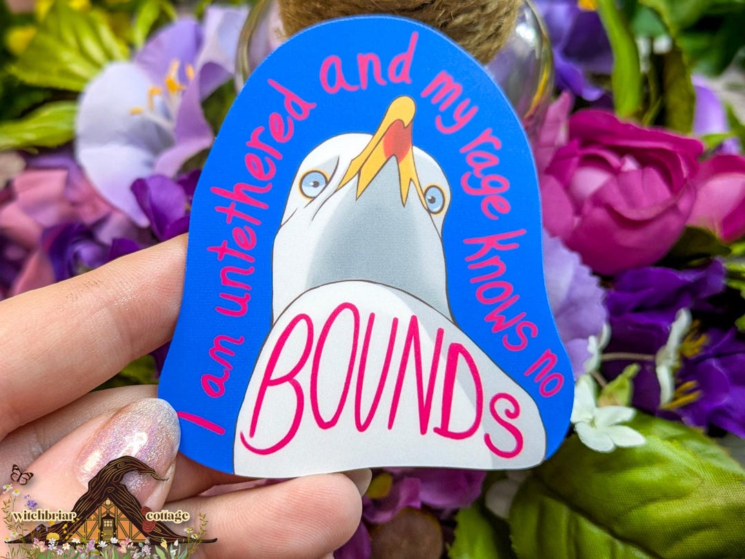 Untethered Seagull, Funny Rage Unhinged Vinyl Sticker for Laptop or ...