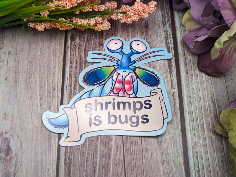 Shrimps is Bugs Quirky Weird Meme Stickers Mantis Shrimp - Etsy