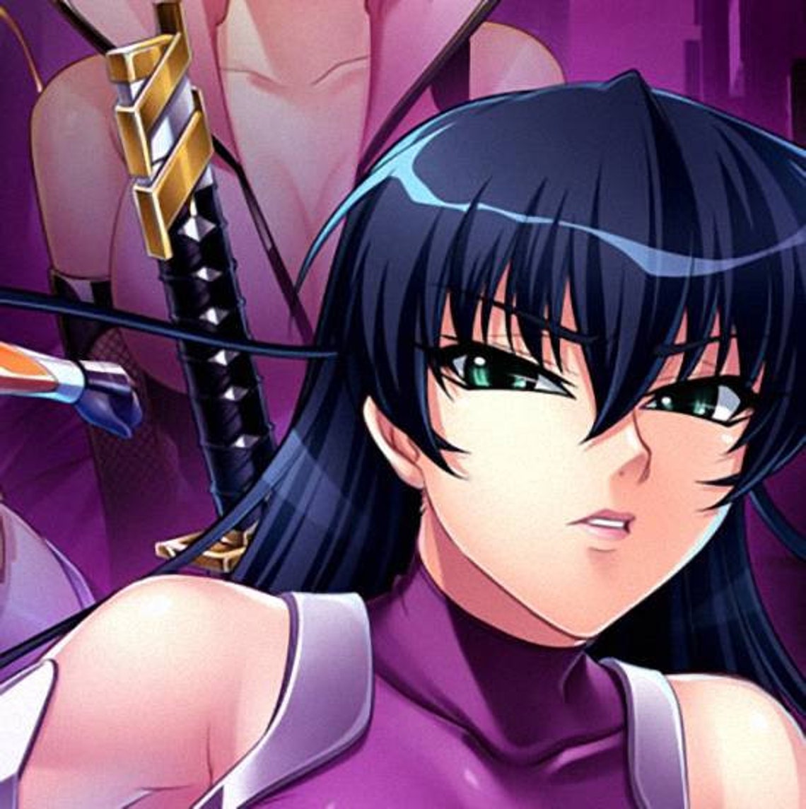 Taimanin Asagi 2 Vol 1 2 Dvd Censored No Subtitles Disc Only Etsy