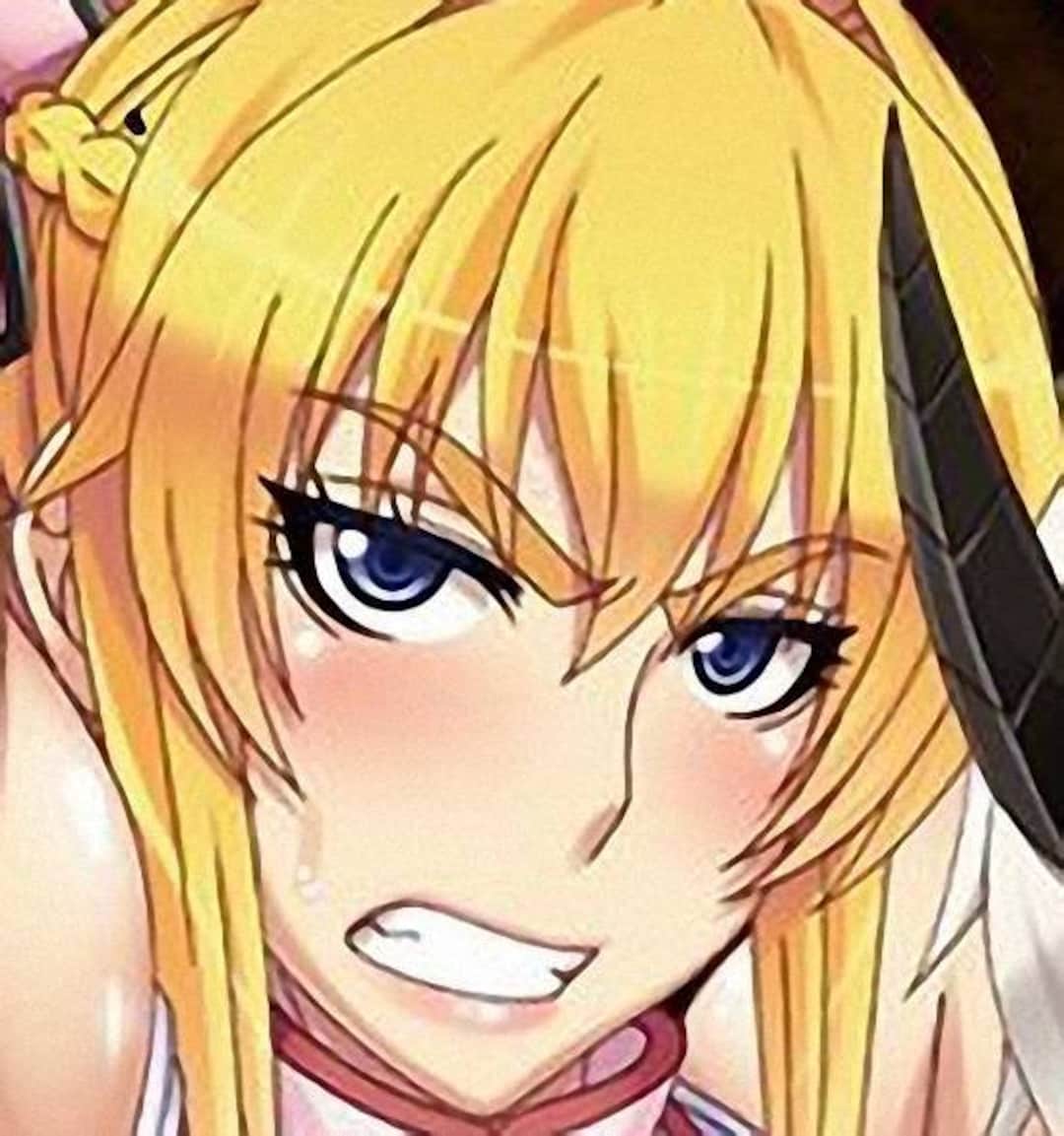 Buta No Gotoki Sanzoku Ni Torawarete Shojo Wo Ubawareru Kyonyuu Himekishi & Onna Senshi DVD ...