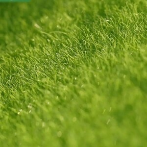 1/6 - 1/12 Scale Miniature Lawn, Miniature Turf, Dollhouse Grass, Fairy ...