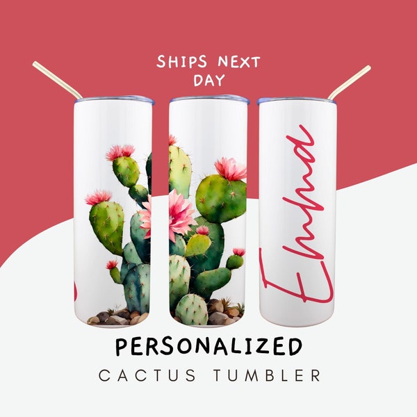 Desert Themed Gift - 60+ Gift Ideas for 2025