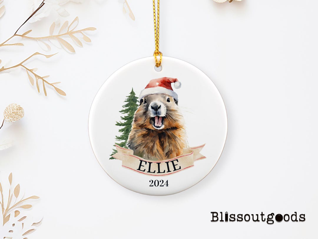 Personalized Marmot Christmas Ornament: Custom Kid Gift From Grandma - Etsy