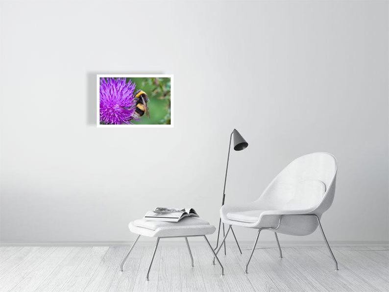 Bumble Bee 04 Premium Print - Etsy