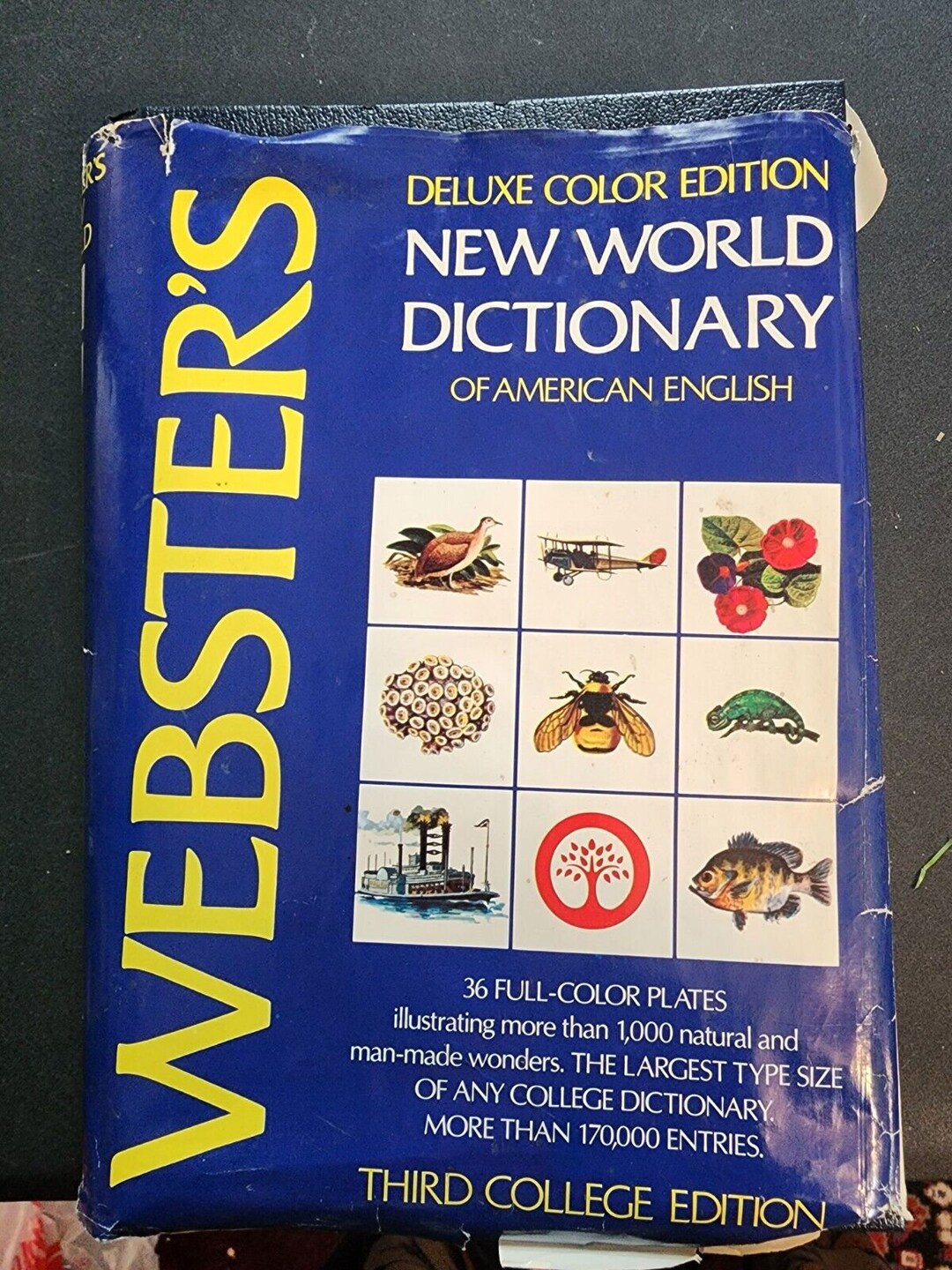 Webster's New World Dictionary of American English H/C D/J 1991 Deluxe Color Ed. - Etsy