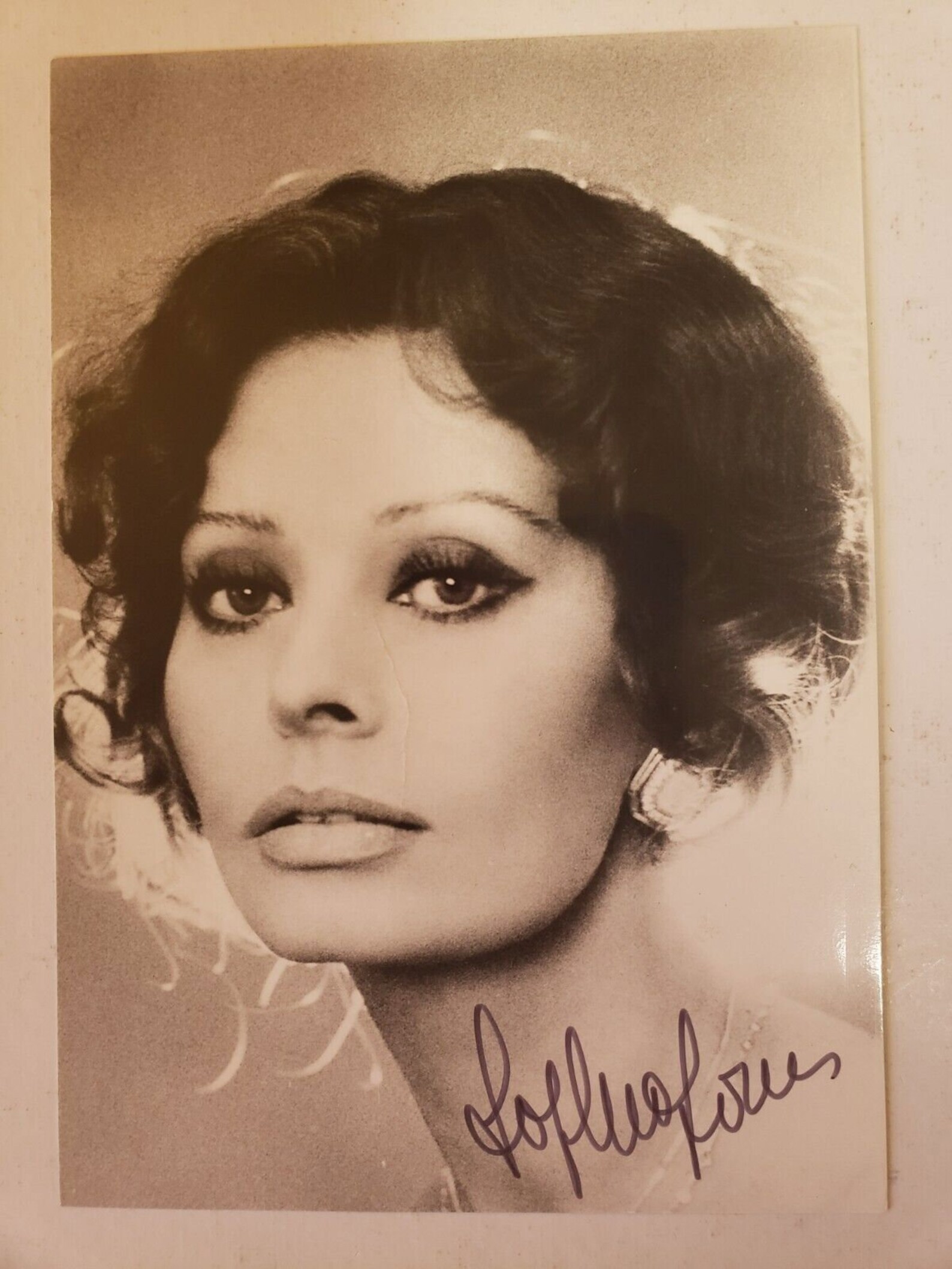 Sophia Loren Vintage 4 X 6 Signed Autograph Photo From 1980S - Etsy