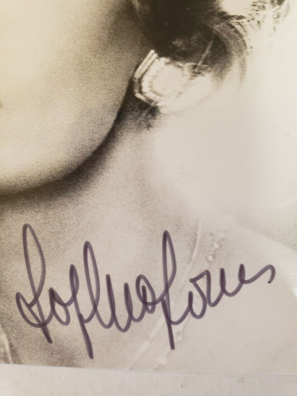 Sophia Loren Vintage 4 X 6 Signed Autograph Photo From 1980S - Etsy