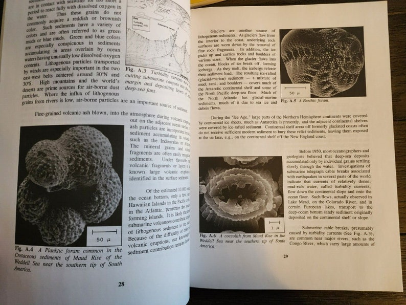 1st Printing 1996 Seafloor Sediment & the Age of the Earth Larry ...
