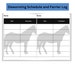 Printable Horse Care Planner - Etsy