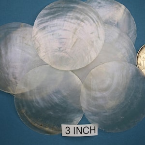SLICED SEASHELLS, Capiz Cut Shell, 3 Inch, Craft Supply, Christmas ...