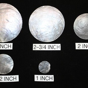 SLICED SEASHELLS, Capiz Cut Shell, 3 Inch, Craft Supply, Christmas ...