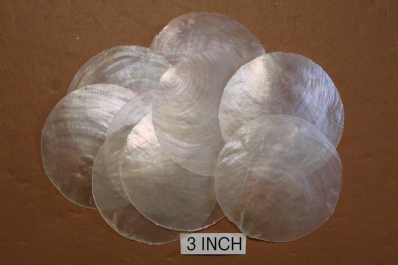 SLICED SEASHELLS, Capiz Cut Shell, 3 Inch, Craft Supply, Christmas ...