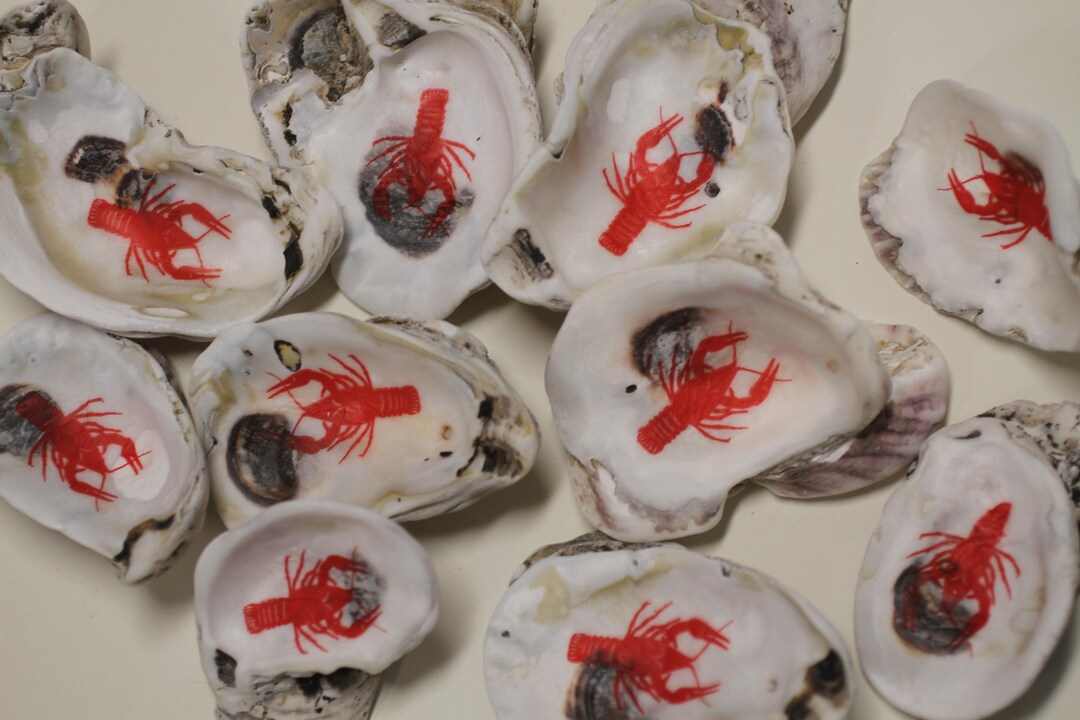 OYSTERS, Decoupaged Oyster Shells, Cajun Party Decor, Keepsakes ...