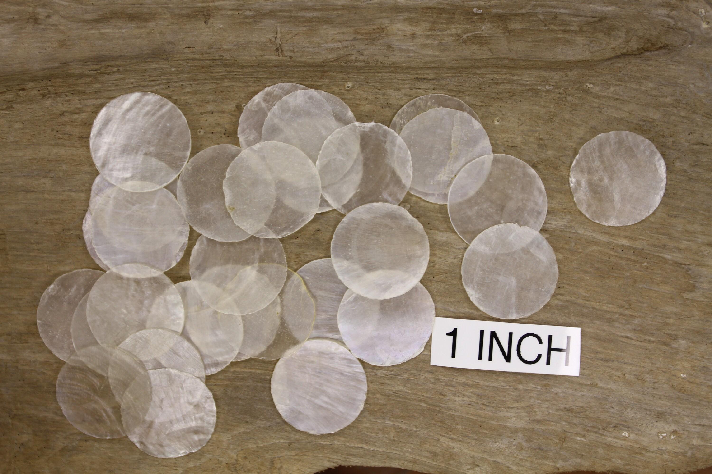 CUT SEASHELLS, 1" Capiz Disc, Beach Decor, Sailor Valentines, Wedding ...