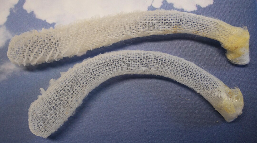 BEACH DECOR, Glass Sponge, Venus Flower Baskets, Beach Art, Wall Decor ...